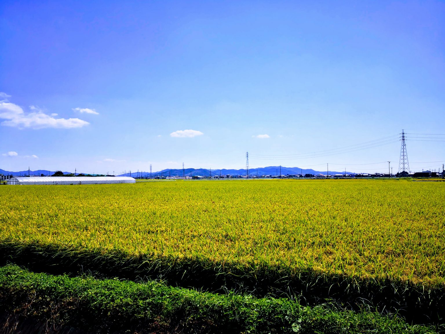 gmt coupeの使い方 | はじめよう！GMT6